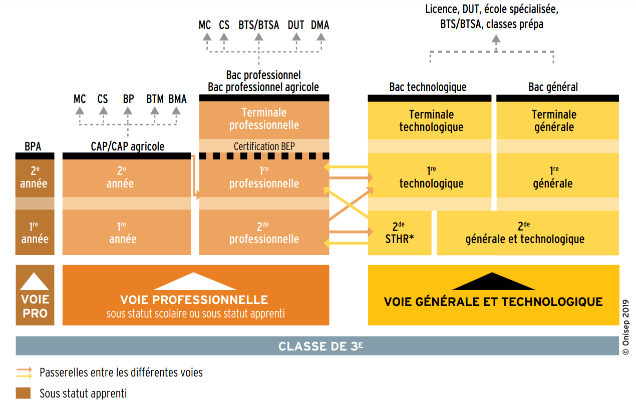 Cours : Orientation 3ème - Stages